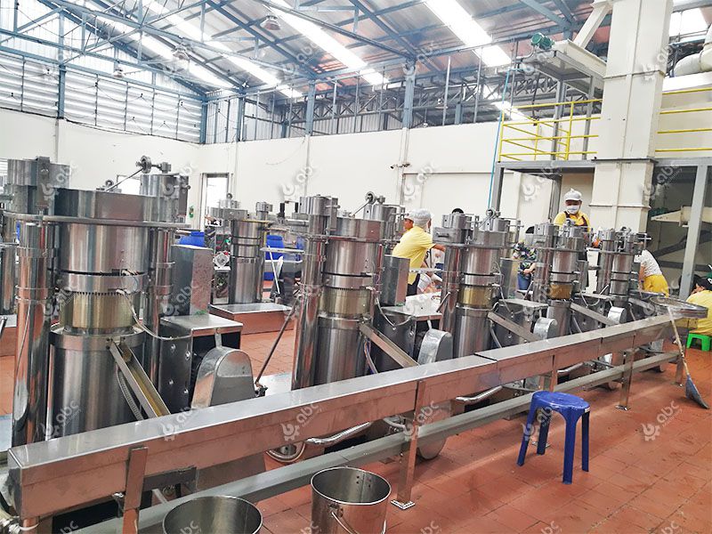 Support | RAHASH WEBSITE